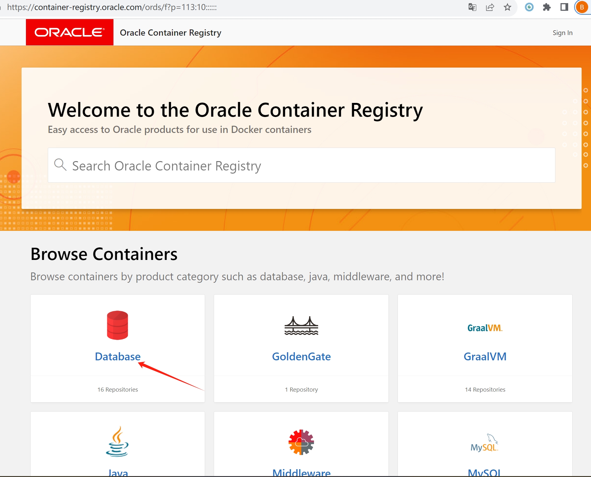 使用Docker安装使用oracle23C | 博客