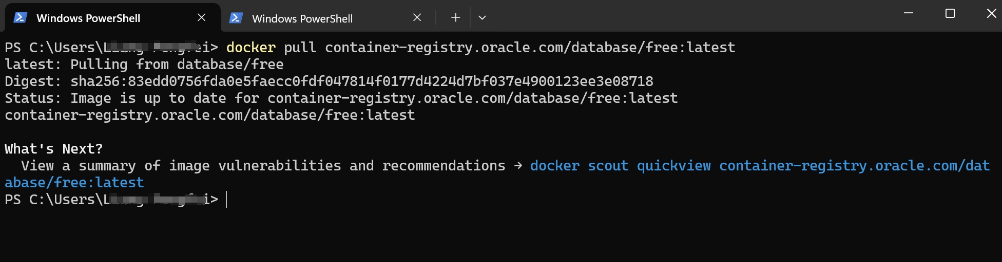使用Docker安装使用oracle23C | 博客