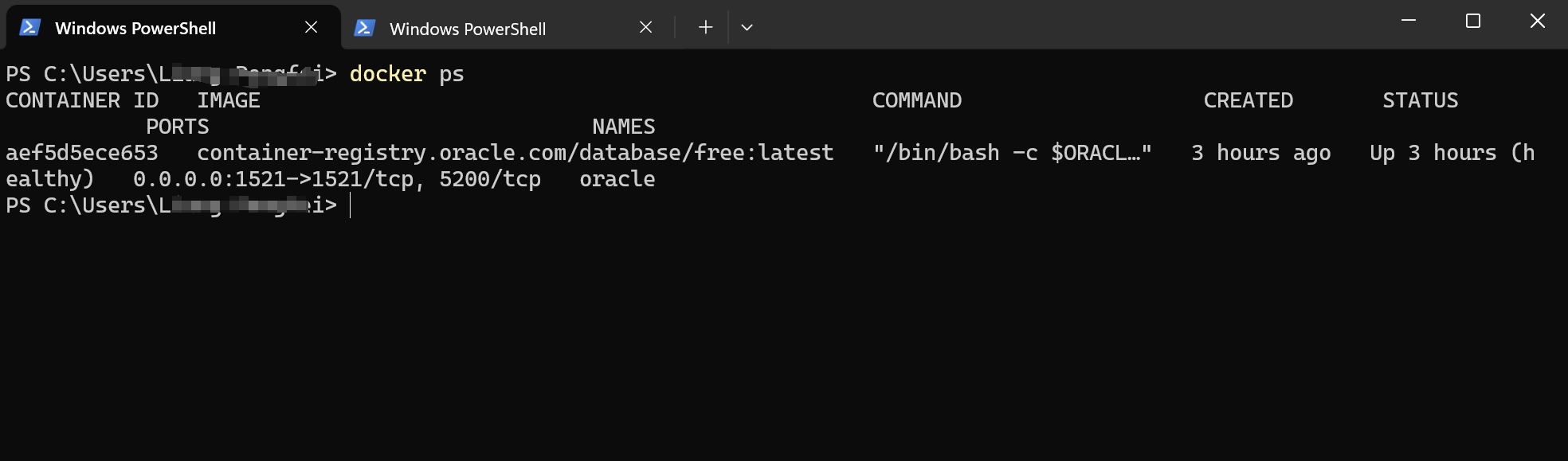 使用Docker安装使用oracle23C | 博客